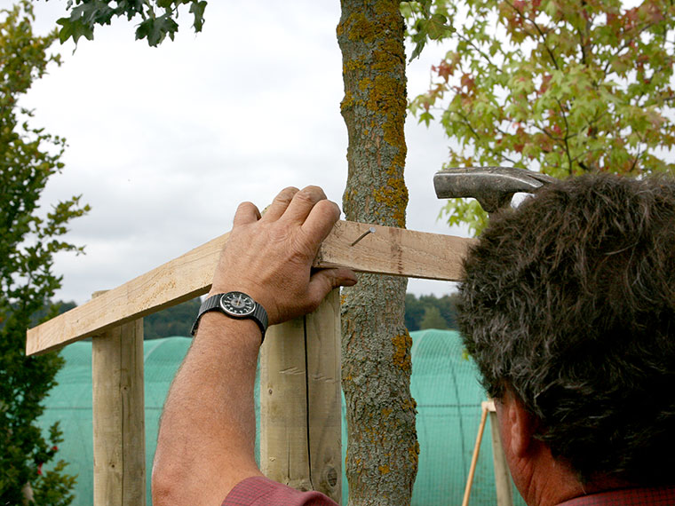 Gehölze fachgerecht verankern | Hauenstein AG